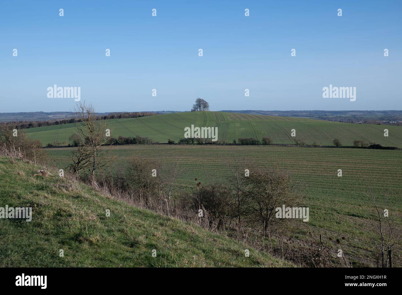 Views at Wittenham Clumps, Oxfordshire ,on February 19th 2023 Stock ...