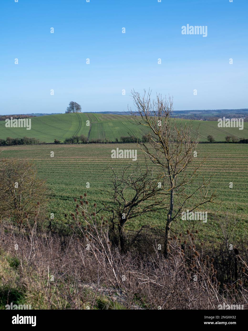 Views at Wittenham Clumps, Oxfordshire ,on February 19th 2023 Stock ...