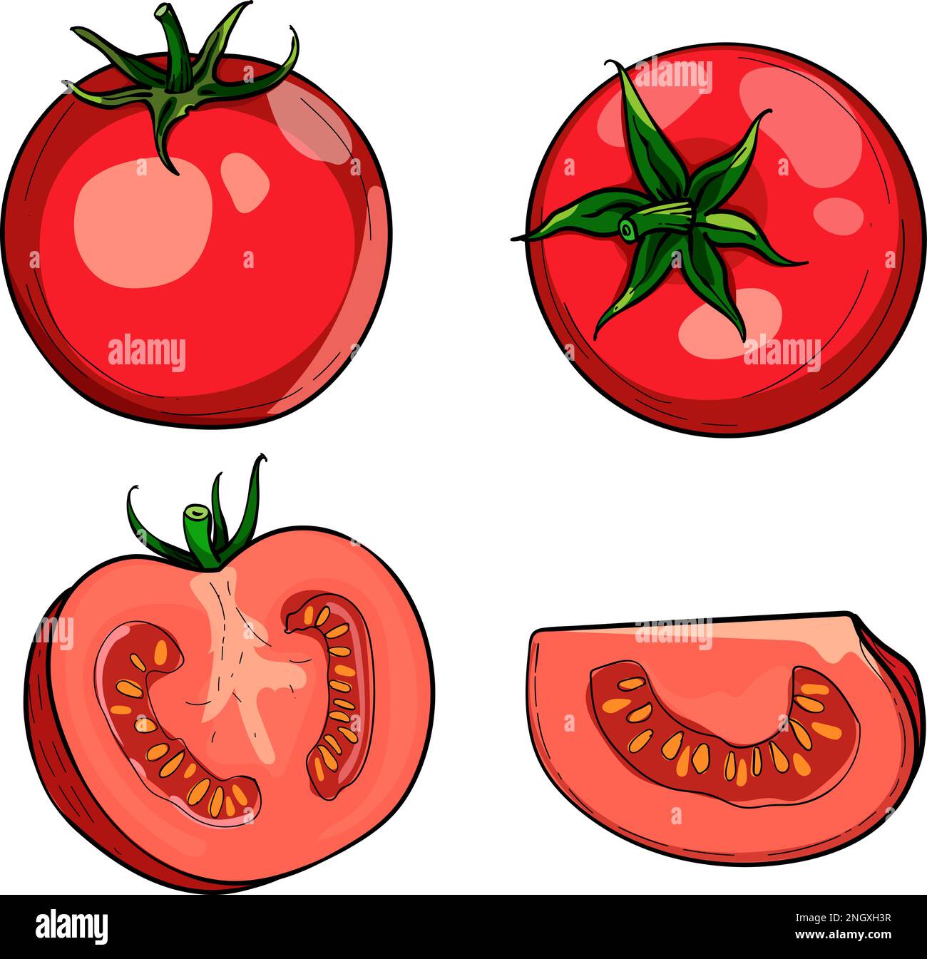Tomato slice vector design hi-res stock photography and images - Alamy