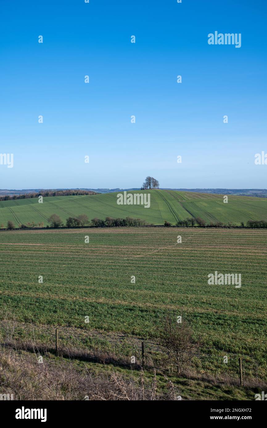 Views at Wittenham Clumps, Oxfordshire ,on February 19th 2023 Stock ...