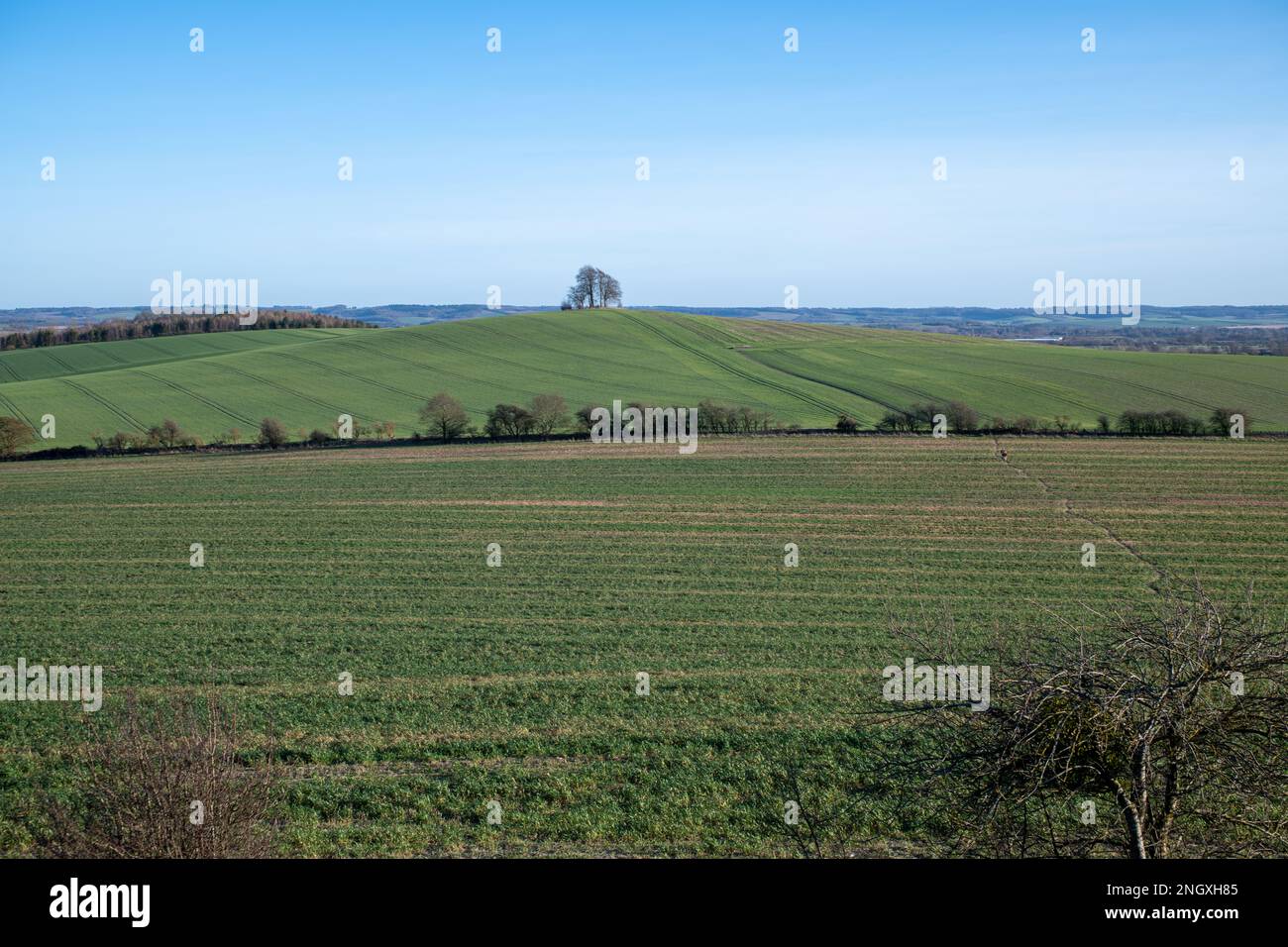 Views at Wittenham Clumps, Oxfordshire ,on February 19th 2023 Stock ...