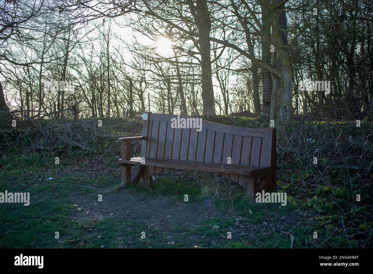 Memorial Bench at Wittenham Clumps Stock Photo - Alamy