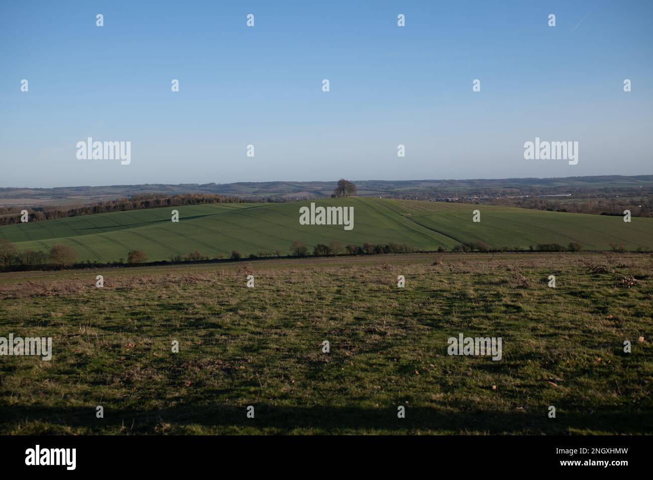 Views at Wittenham Clumps, Oxfordshire ,on February 19th 2023 Stock ...