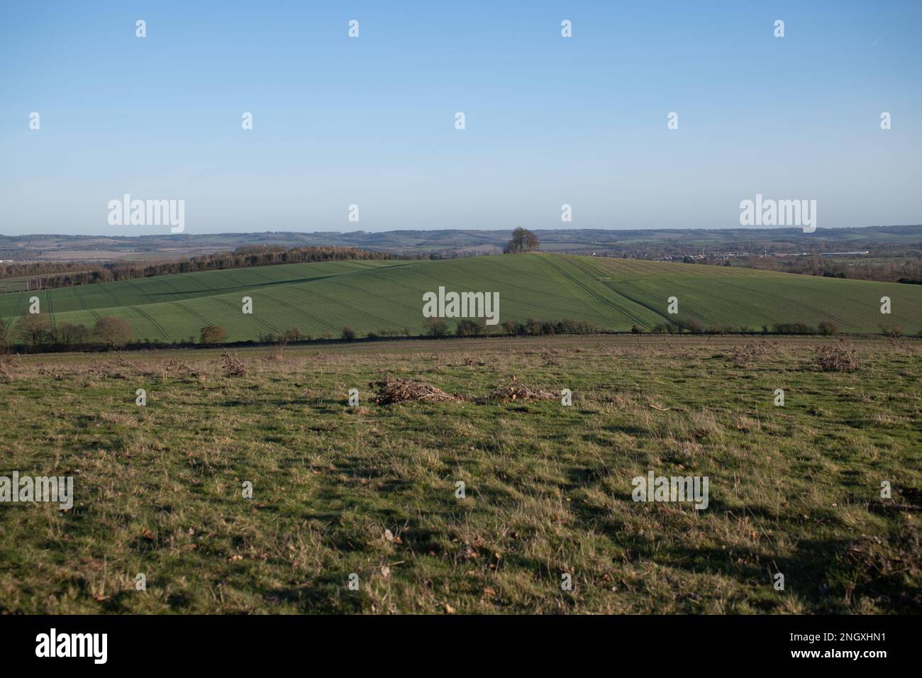 Views at Wittenham Clumps, Oxfordshire ,on February 19th 2023 Stock ...