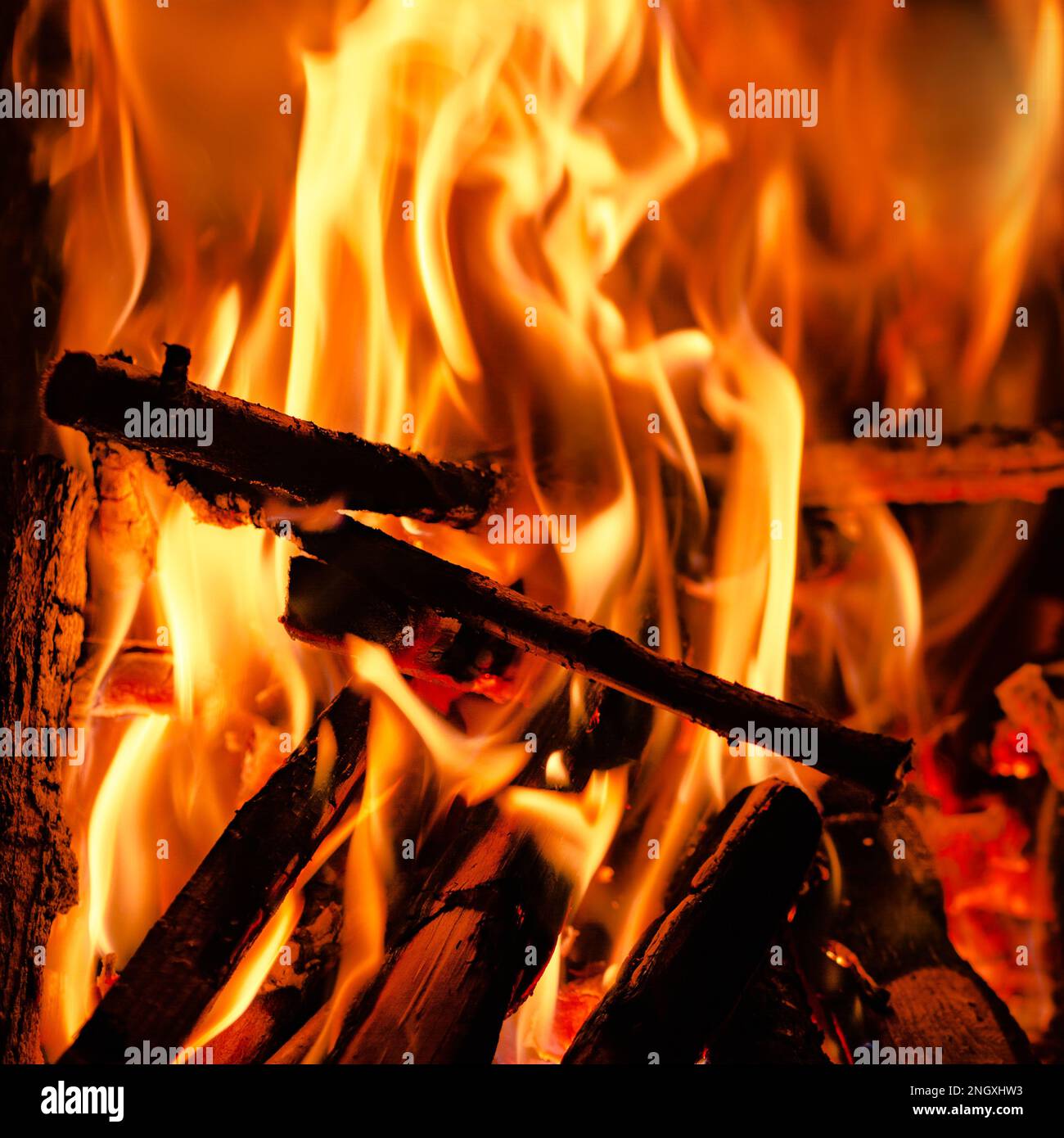 flames and burning firewood and branches in a fireplace in a banner ...