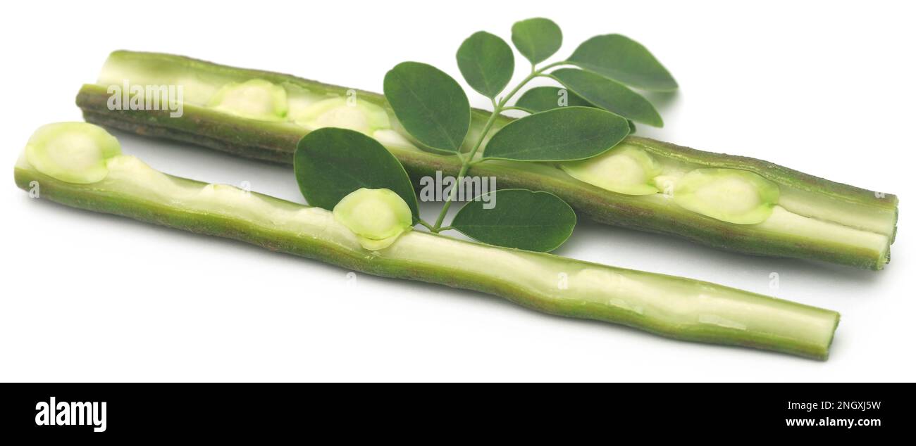 Edible moringa with fresh leaves over white background Stock Photo - Alamy