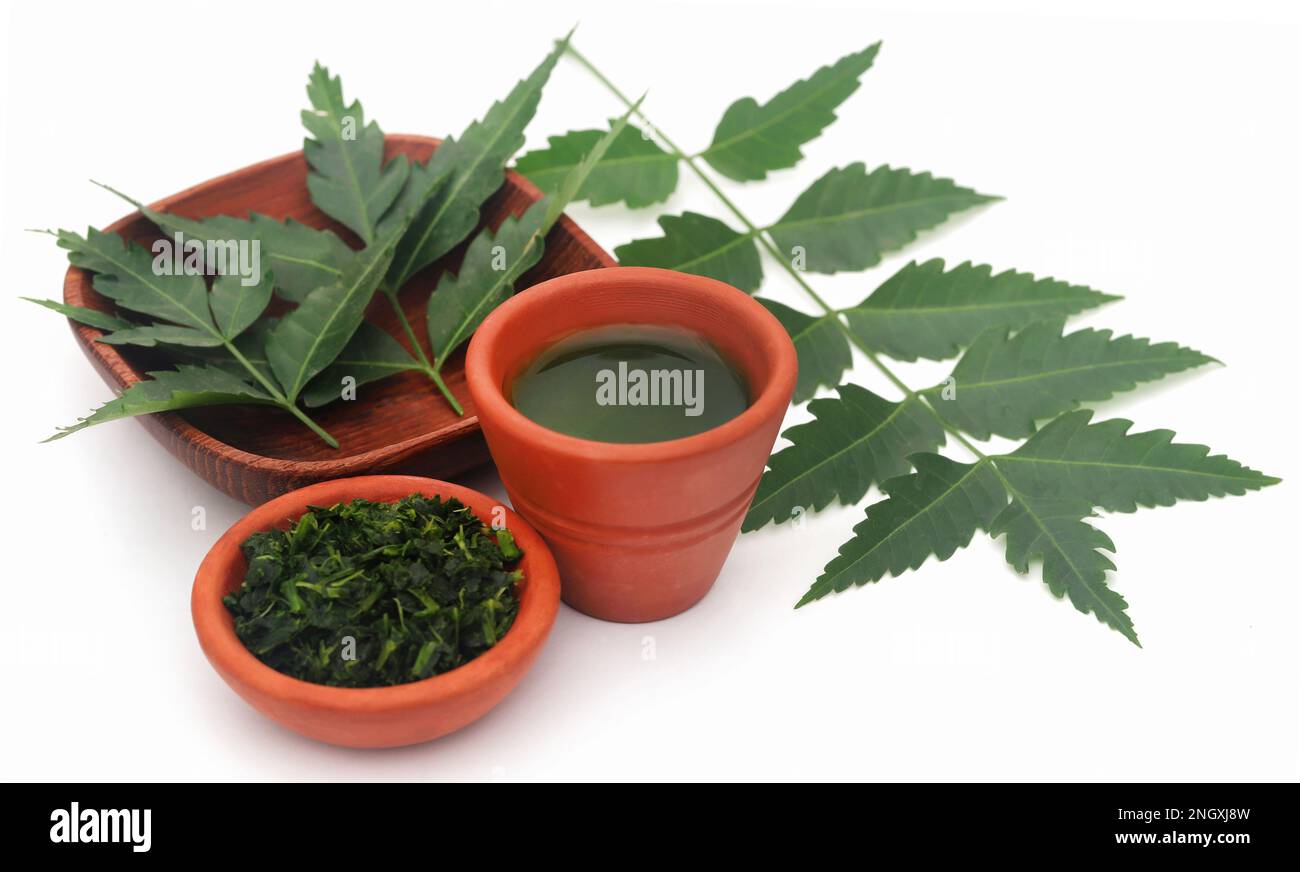 Medicinal neem leaves with extract over white background Stock Photo ...