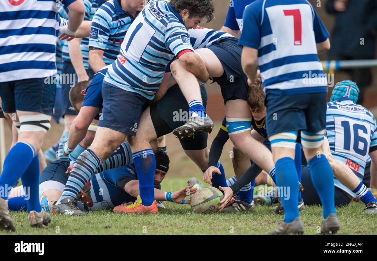 English mens amateur Rugby Union players playing in a league game Stock ...