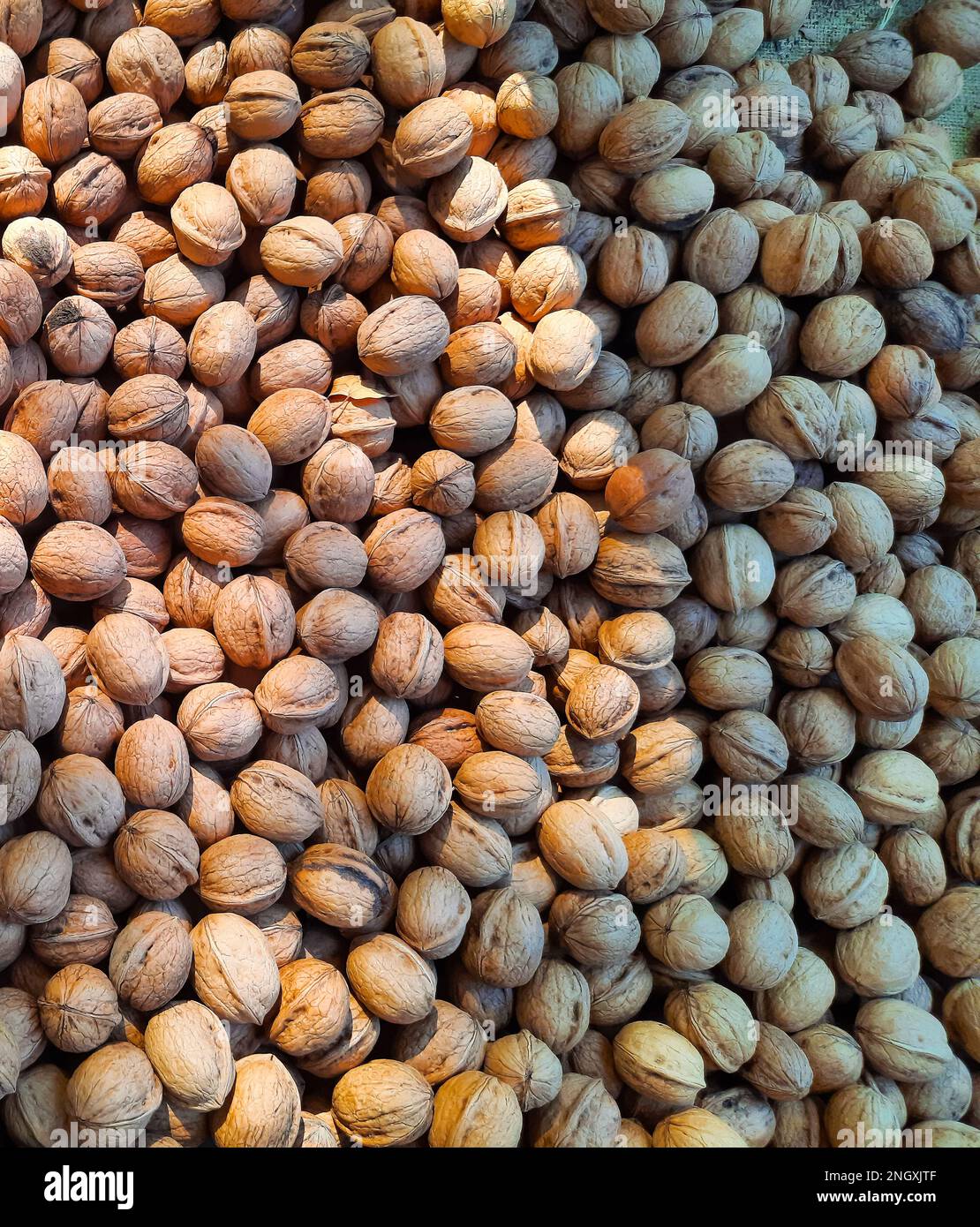 The natural texture of the walnut background in the shell is close-up ...