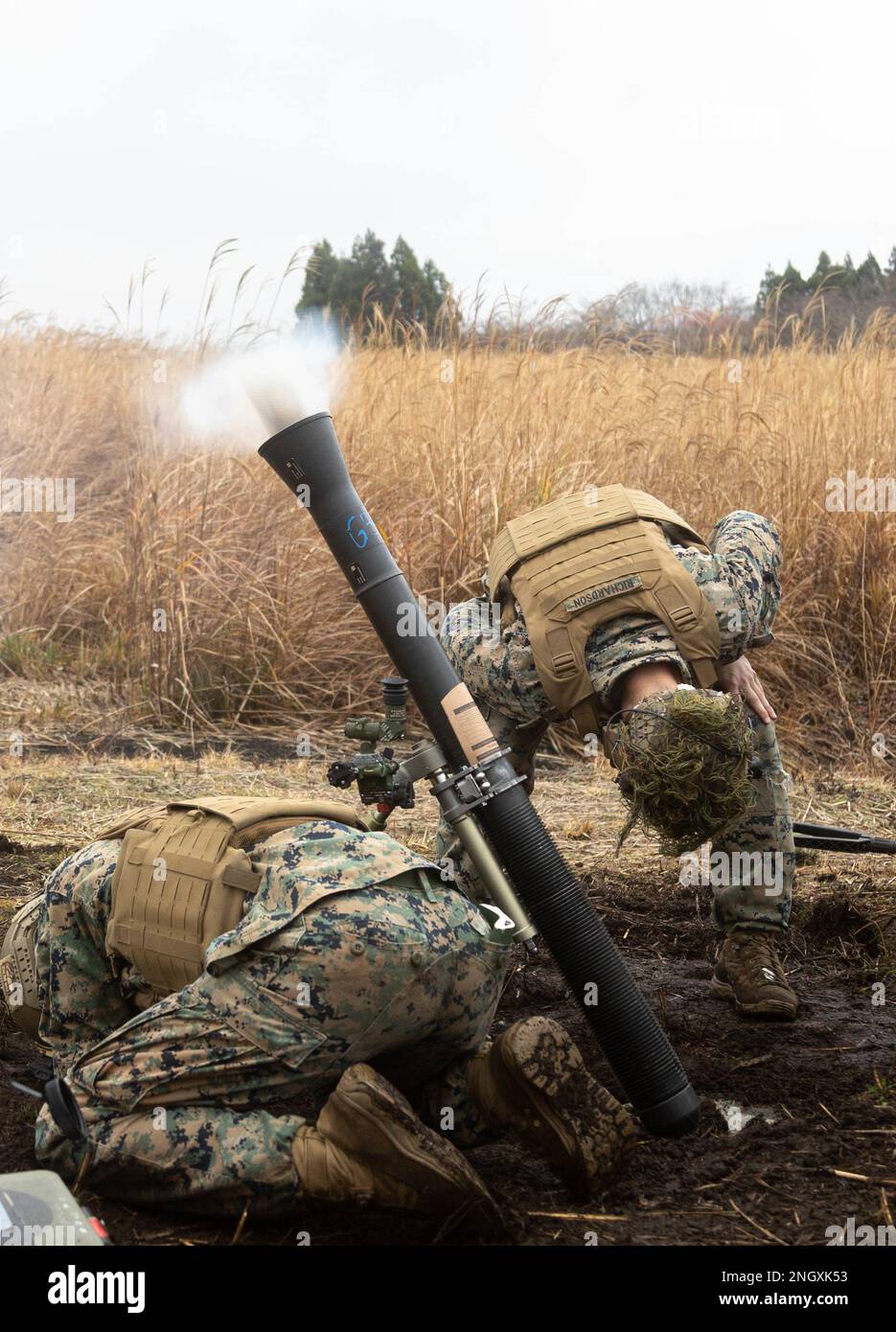 U.S. Marines with 1st Battalion, 2d Marines fire an M252 81mm mortar ...