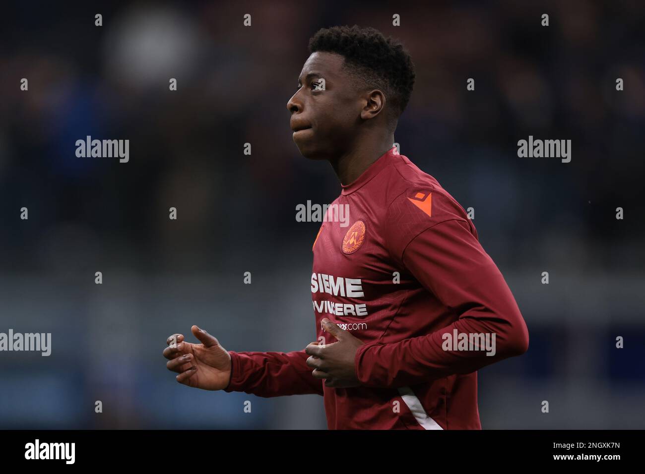 Leonardo buta hi-res stock photography and images - Alamy