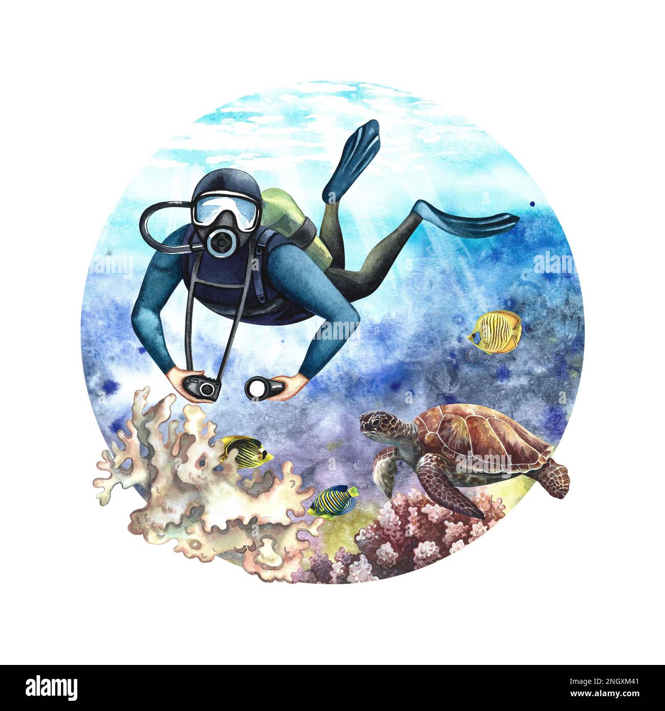 The diver swims underwater at the bottom of the sea. Underwater travel ...