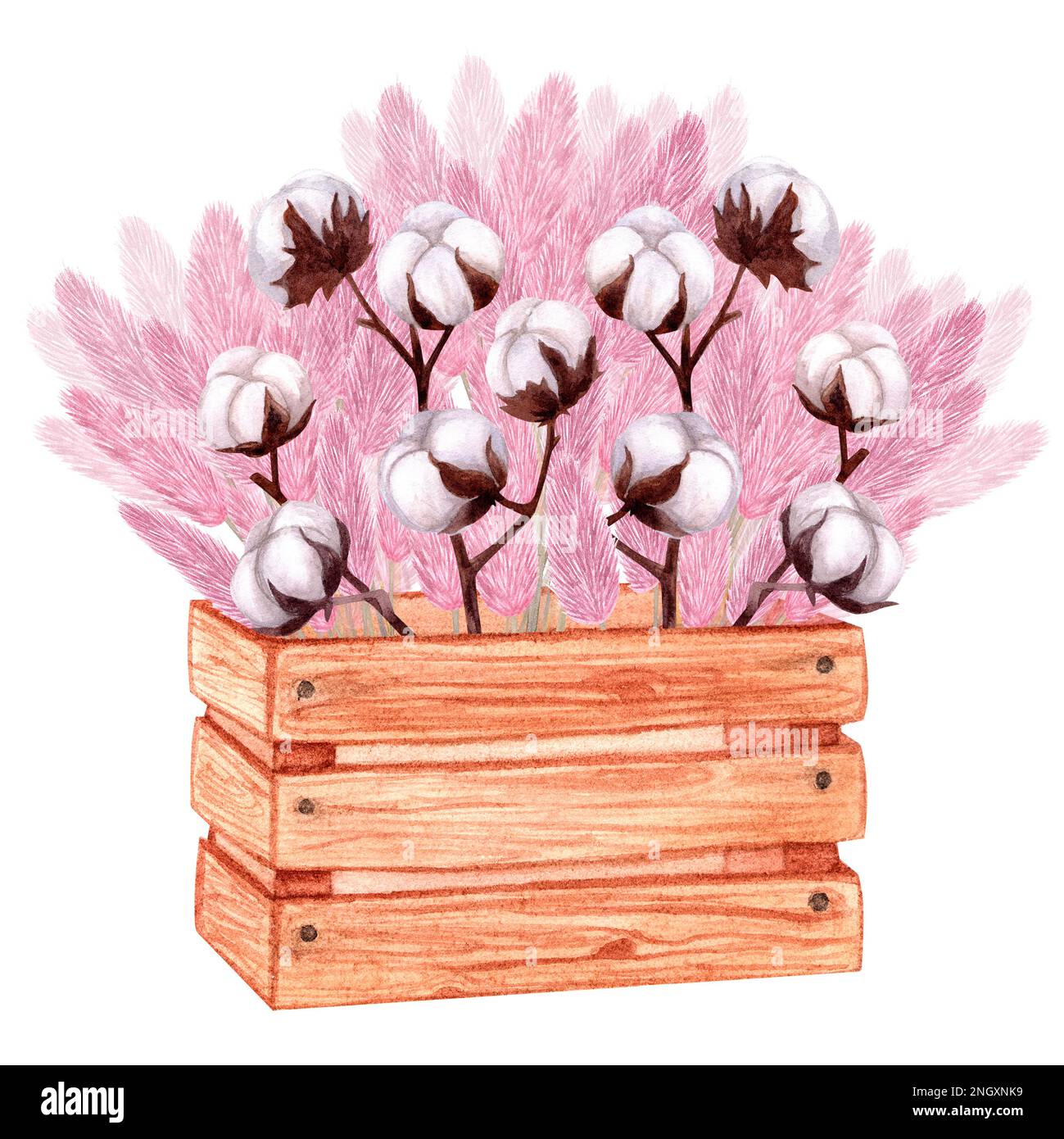 Pampas grass frame Cut Out Stock Images & Pictures - Alamy