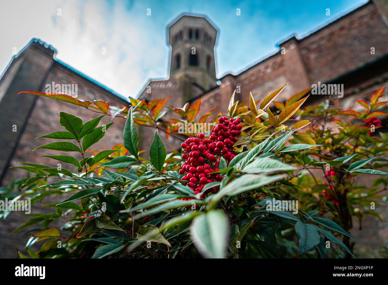 Abbazia del Cerreto: historic monastery in Abbadia Cerreto, Italy known ...