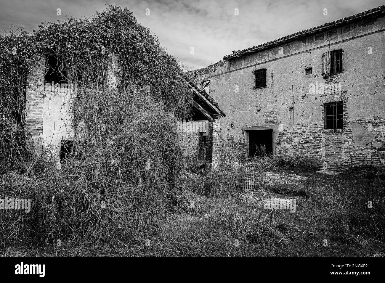 Showcasing Black and White Stock Photos & Images - Alamy