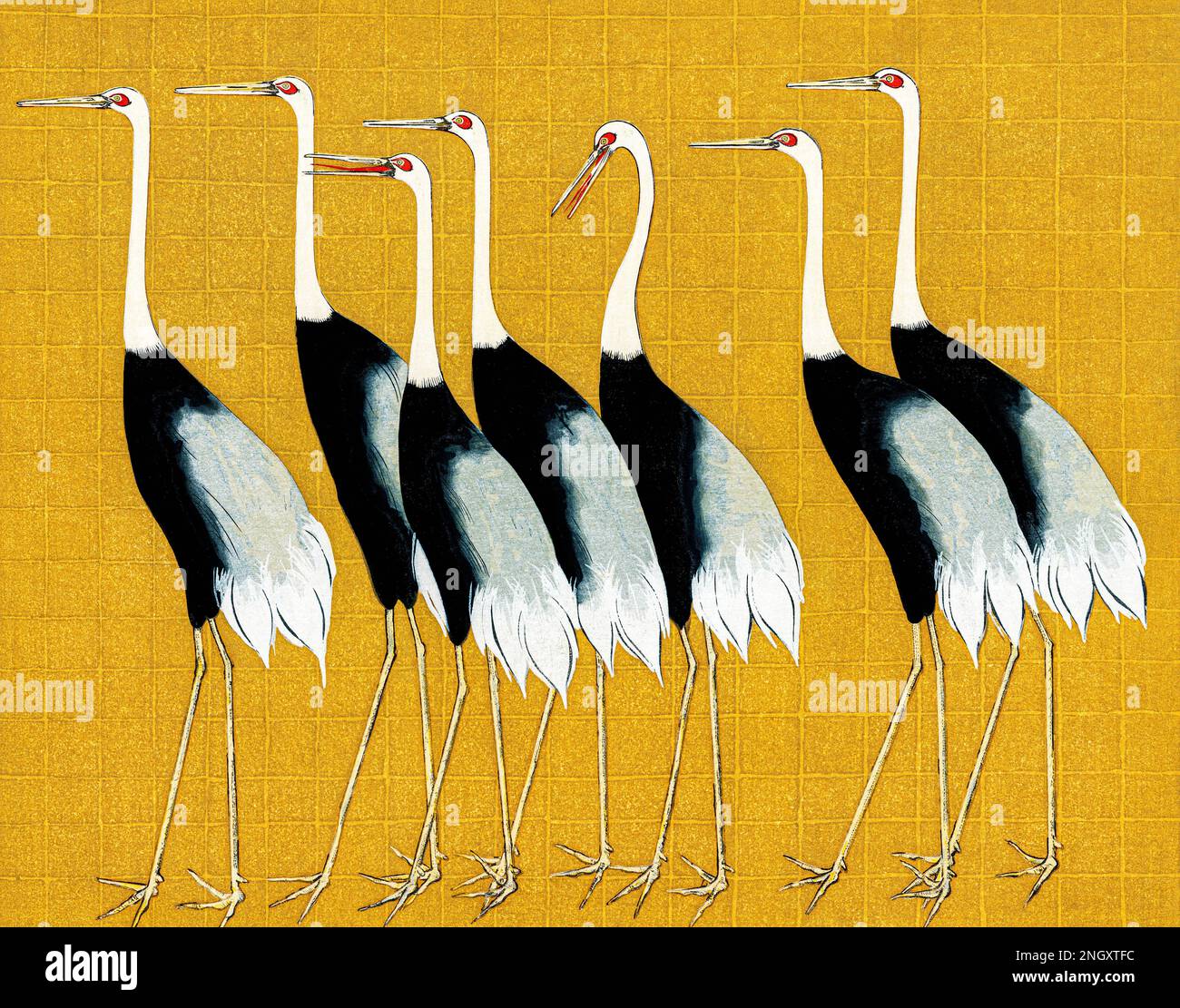 Most Famous Bird Painter