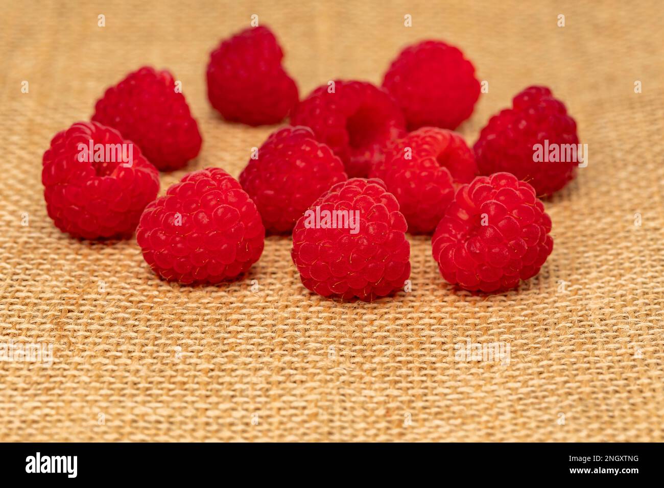 Closeup of fresh red raspberries. Raspberry farming, agriculture and ...