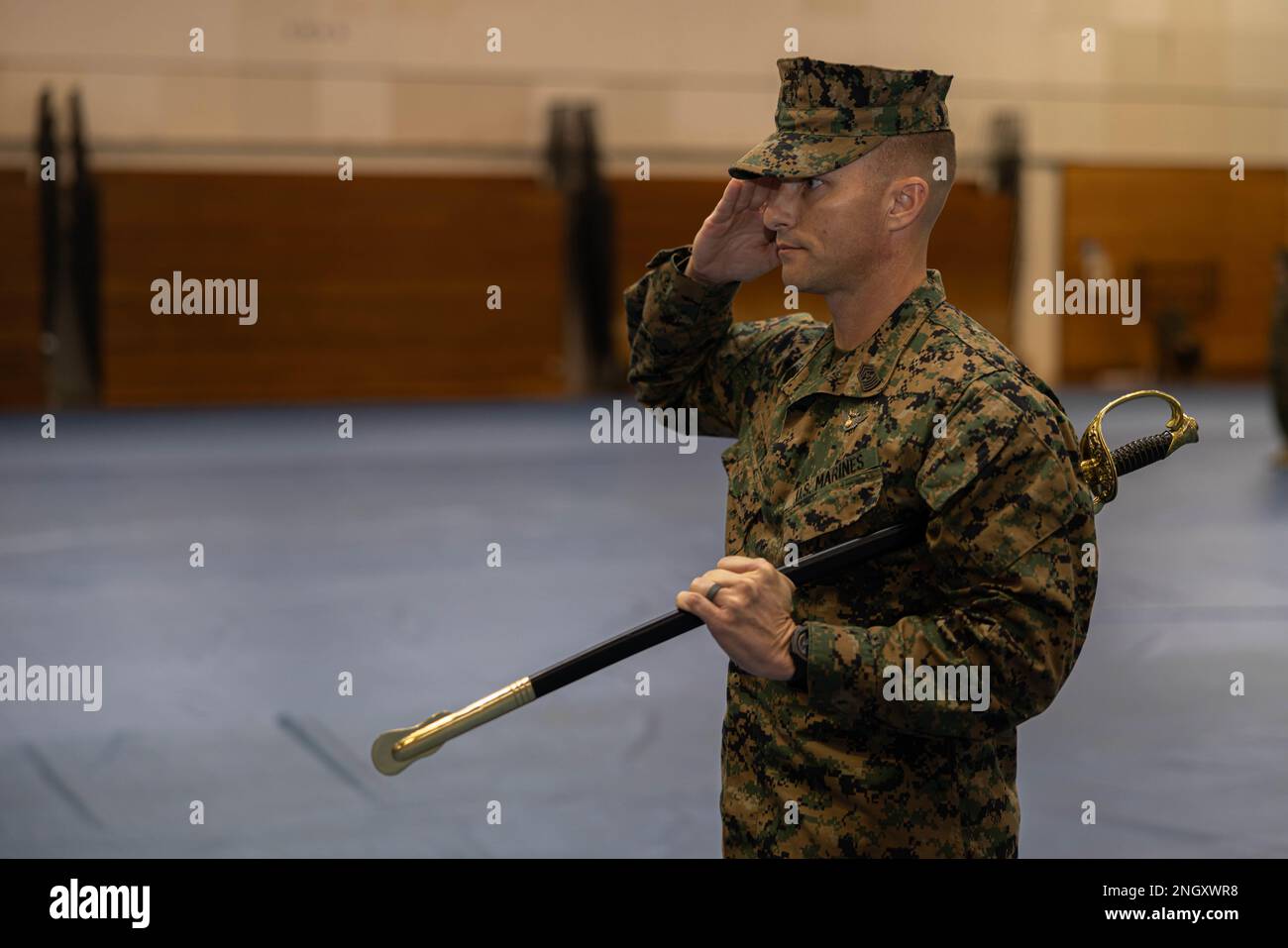 U.S. Marine Corps Sgt. Maj. David Potter, sergeant major of 9th ...