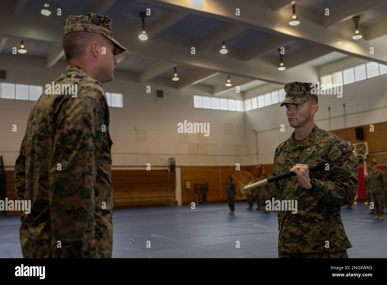 U.S. Marine Corps Sgt. Maj. David Potter, sergeant major of 9th ...
