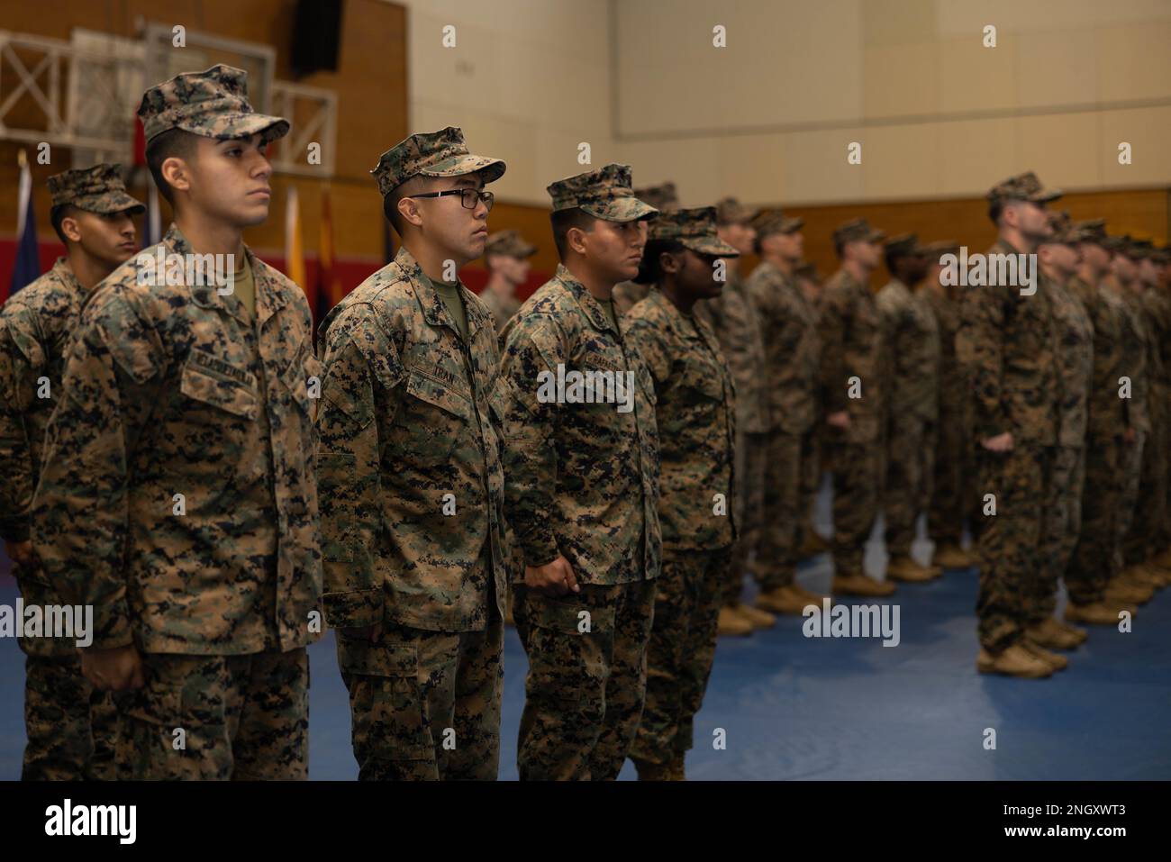 U.S. Marines with 9th Engineer Support Battalion, 3rd Marine Logistics ...
