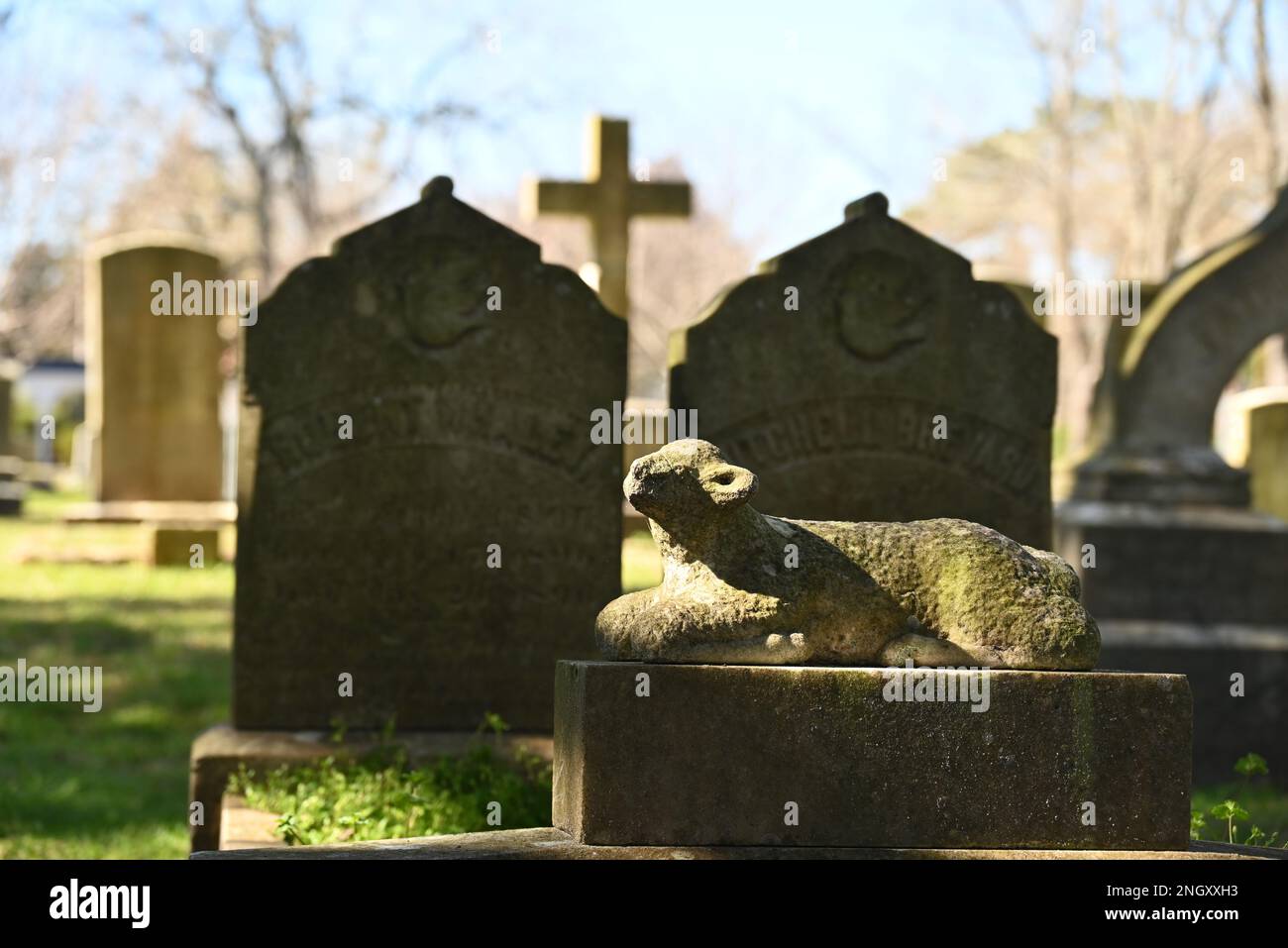 Grave lamb hi-res stock photography and images - Alamy