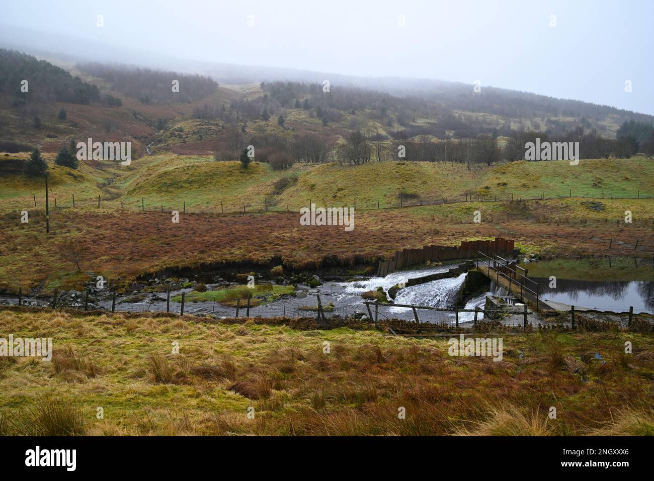 Glen Devon moorland and hills in the mist Stock Photo - Alamy