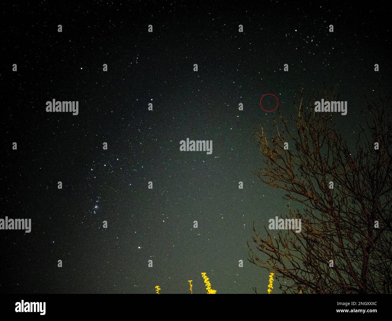 Sheerness, Kent, UK. 19th Feb, 2023. The rapidly fading Green Comet C ...