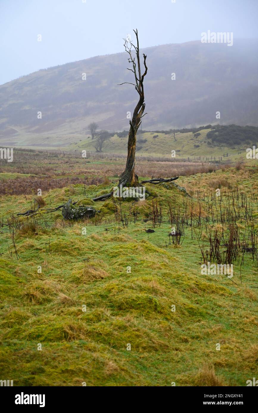 Glen Devon moorland and hills in the mist Stock Photo - Alamy