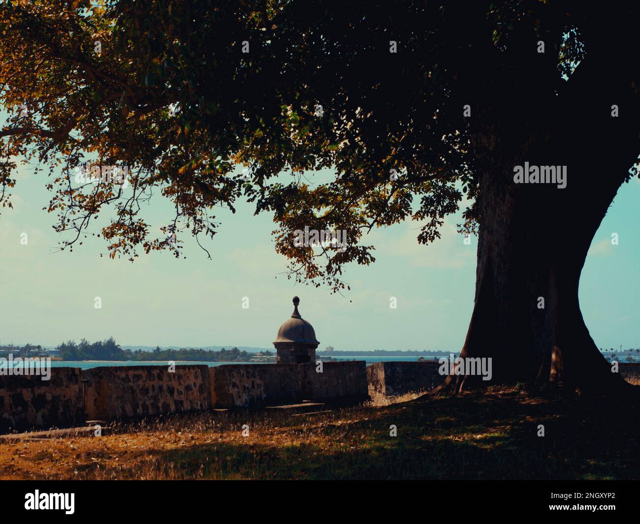 the day on Puerto Rico always surprises you Stock Photo - Alamy