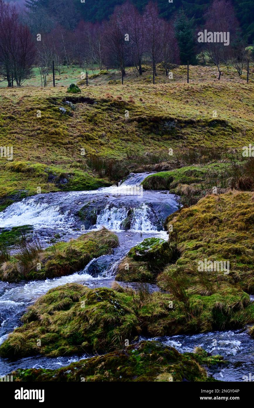 Glen Devon moorland and hills in the mist Stock Photo - Alamy