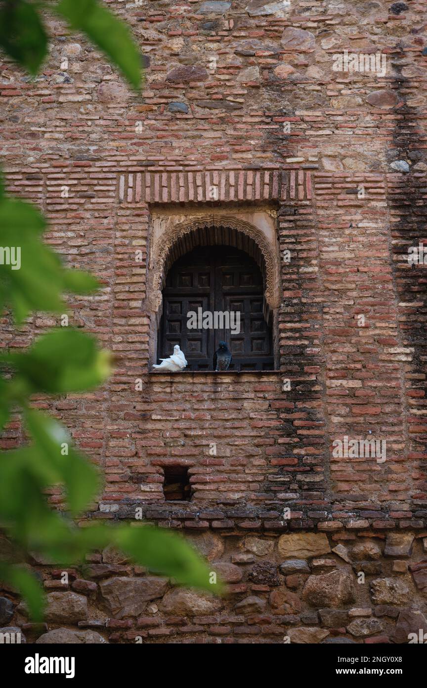 Two doves sitting on the window pane in Alcazaba palace in Malaga ...