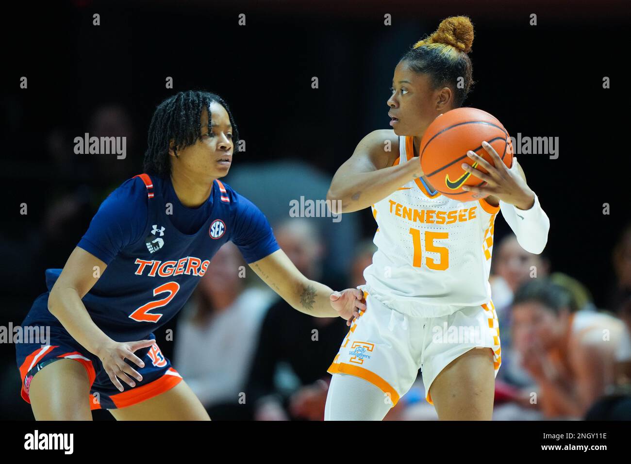 Jasmine wells hi-res stock photography and images - Alamy