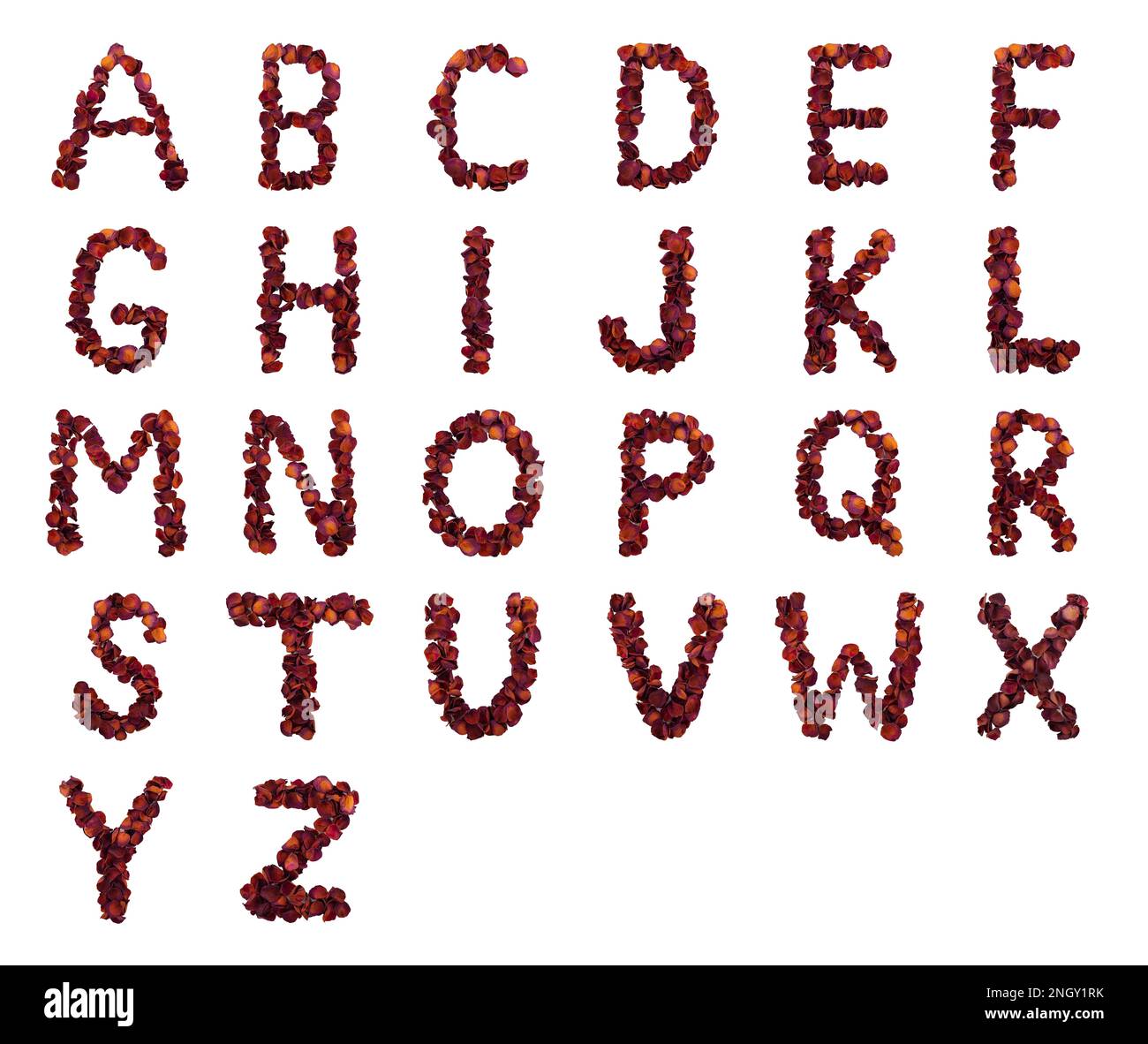 English alphabet with dry red rose petals isolated on white background ...