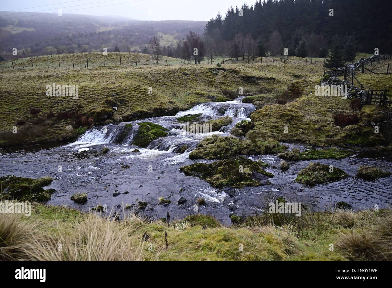 Glen Devon moorland and hills in the mist Stock Photo - Alamy