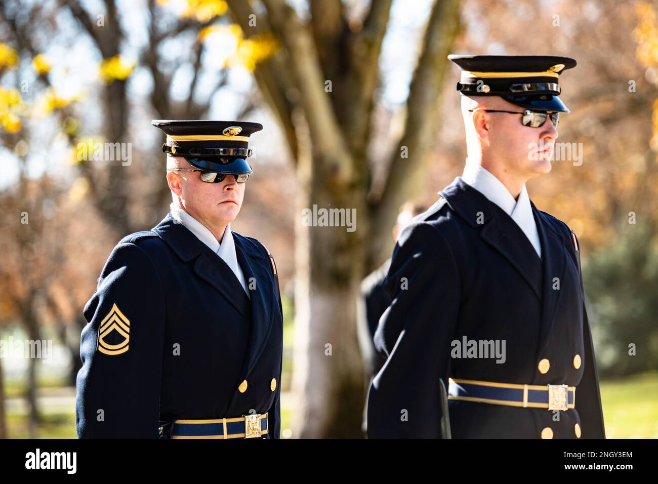 Tomb guards from the 3d U.S. Infantry Regiment (The Old Guard) perform ...