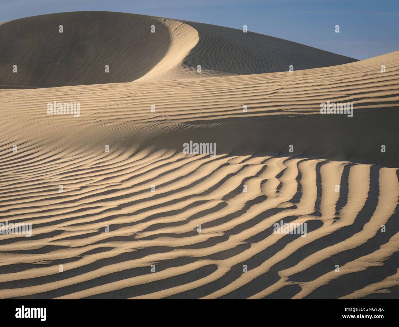 Patterns in the dunes at Sand Dollar Beach, Magdalena Island, Baja ...