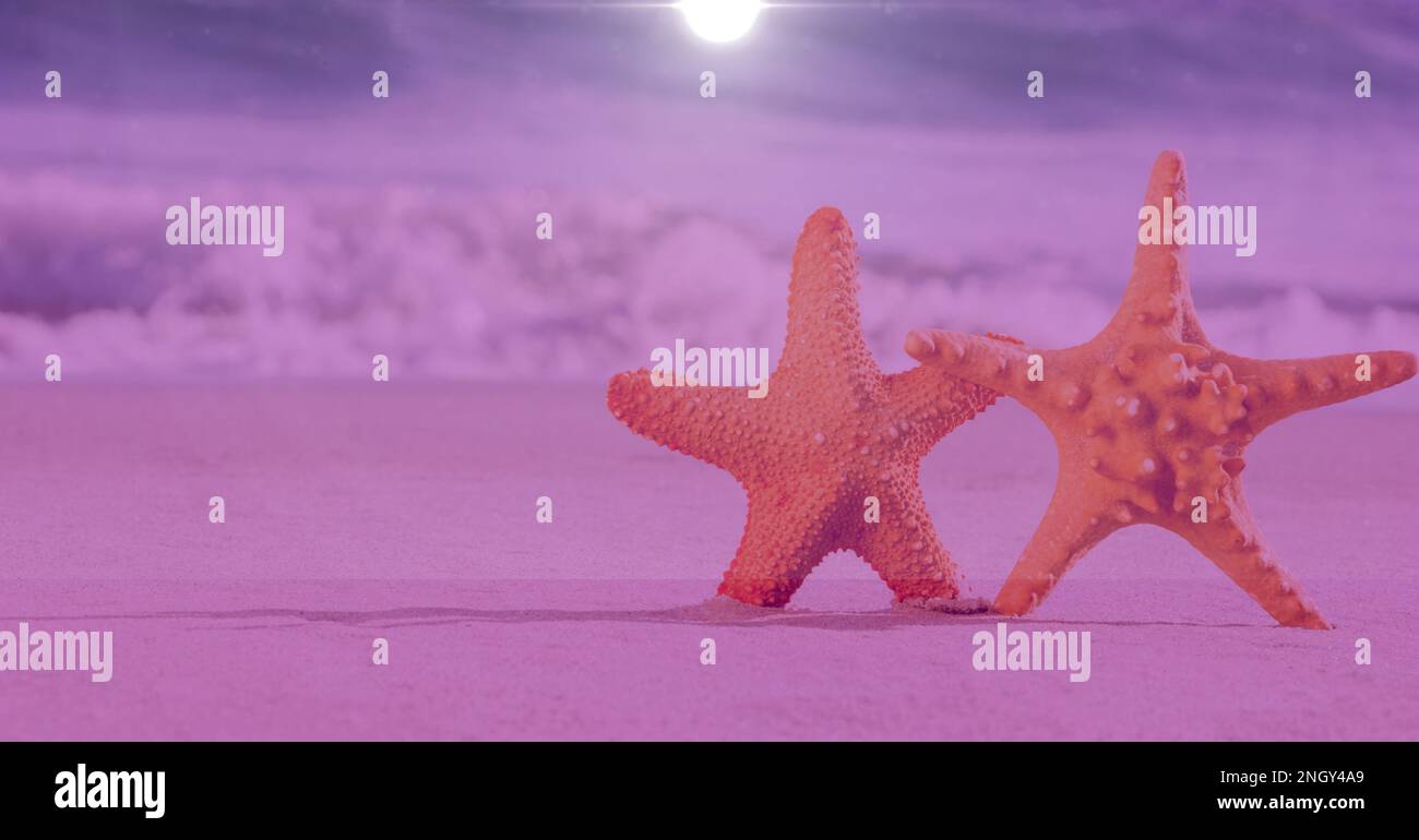 Composition of two starfish in sand on beach with purple glowing light ...