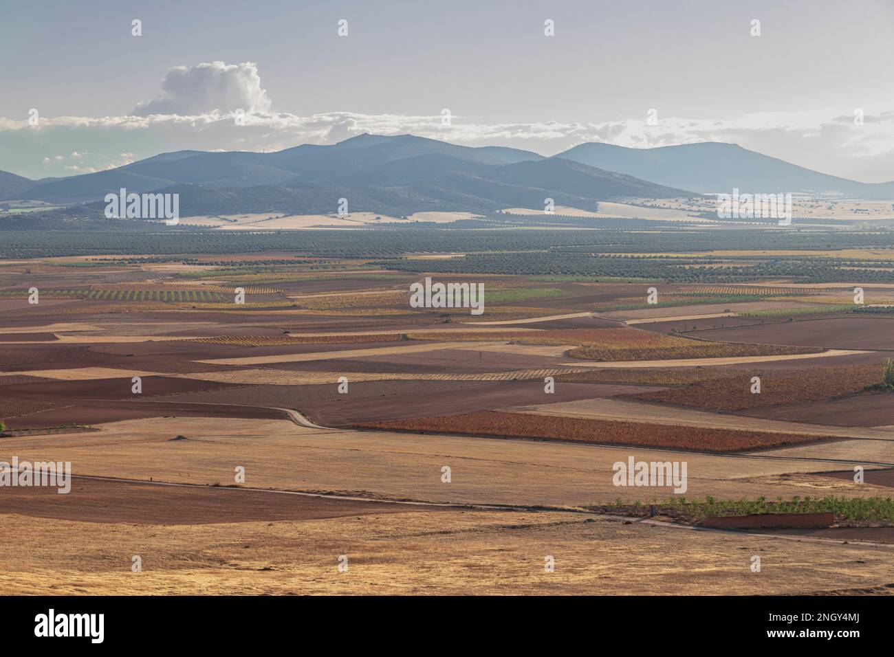 the Spanish mesas near Consuegra in the La Mancha region of Spain at ...
