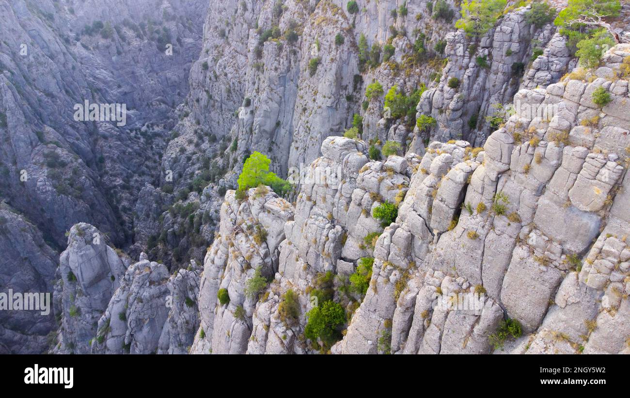 Huge mountain cliff with forest at summer. Beautiful nature miracle in ...