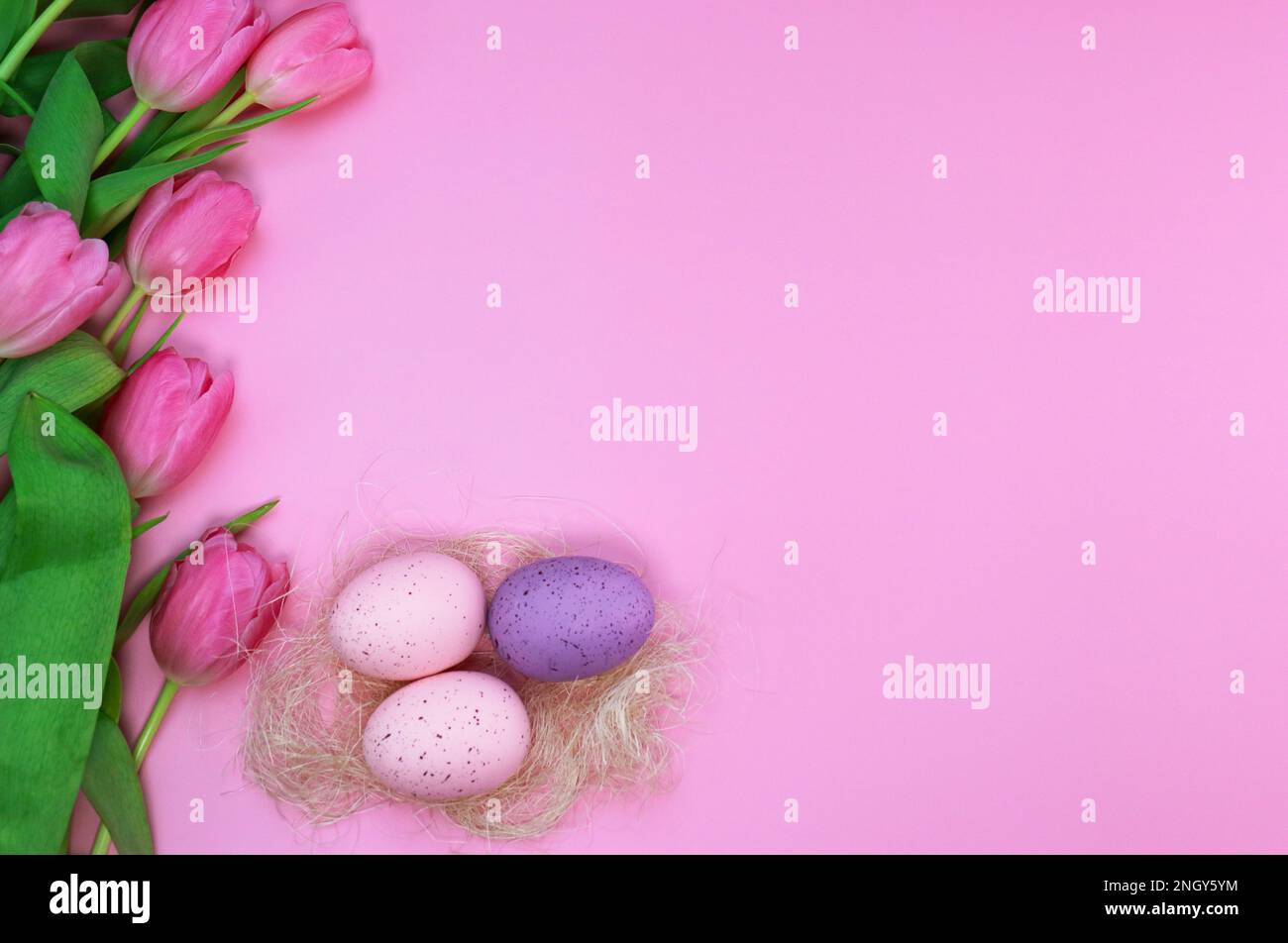 flat lay pink Easter background with tulips and colourful eggs Stock ...