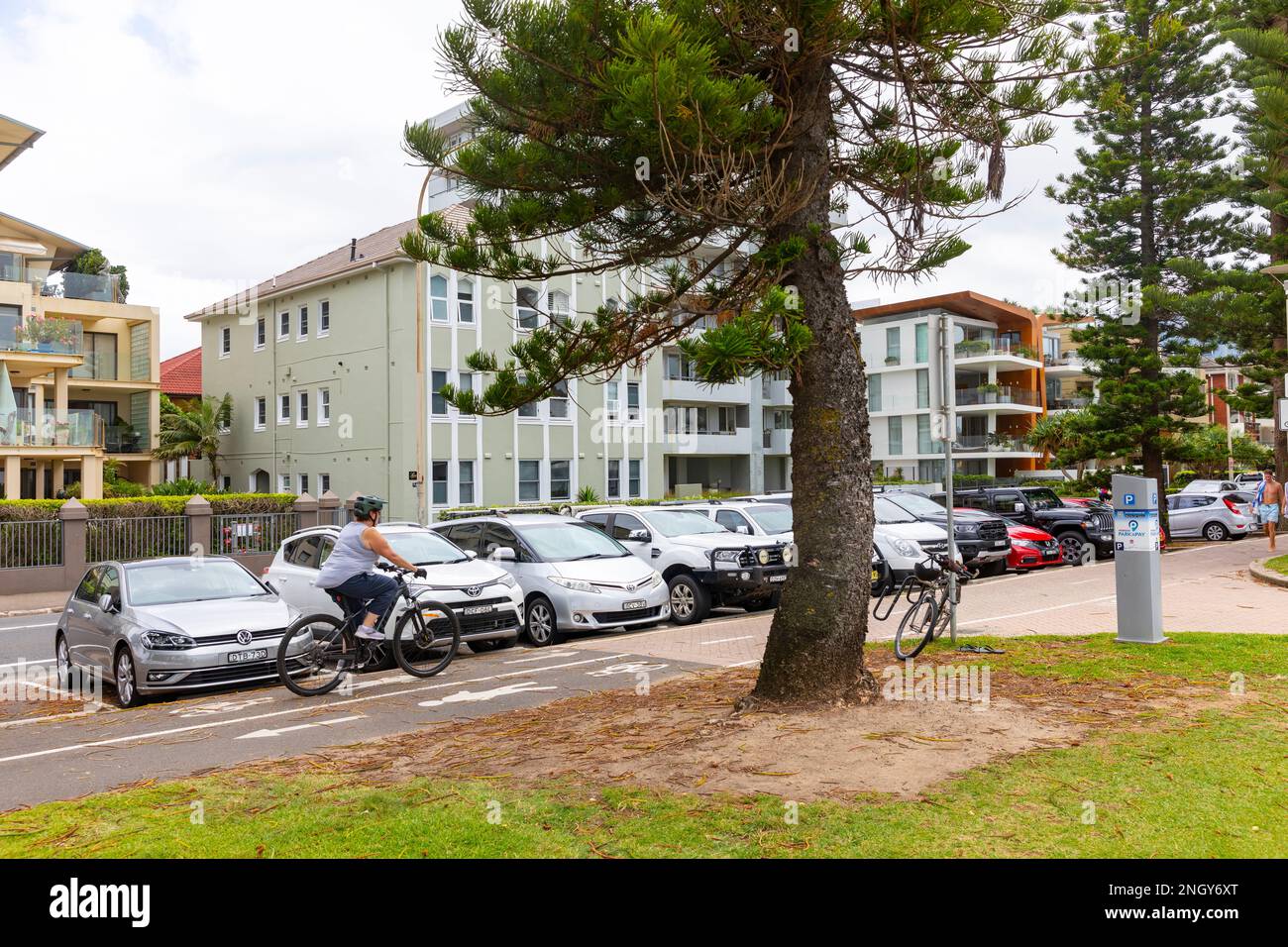 Woman bike riding on bicycle along shared pedestrian path in Manly ...