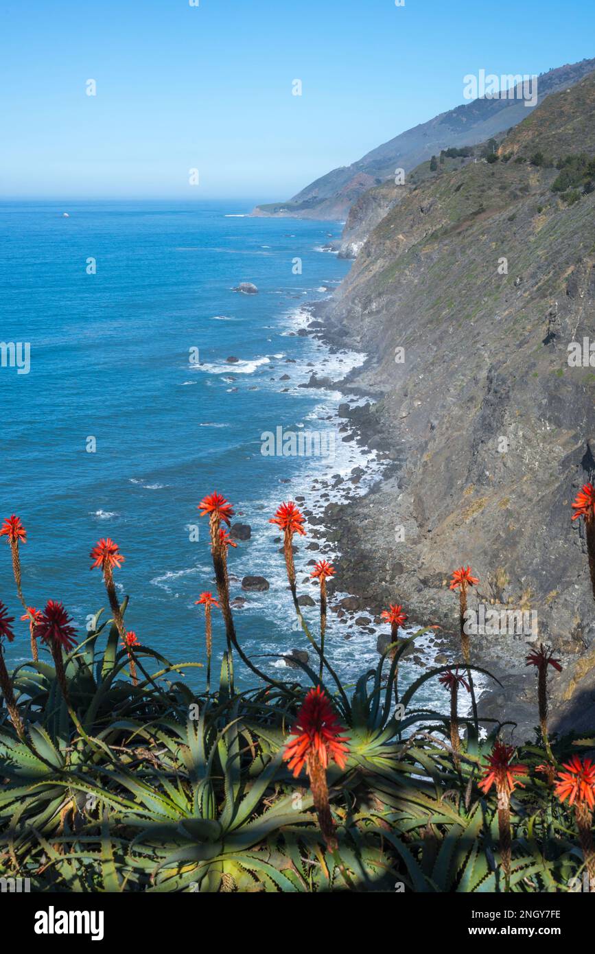 Coastal view from Ragged Point, California, USA Stock Photo - Alamy