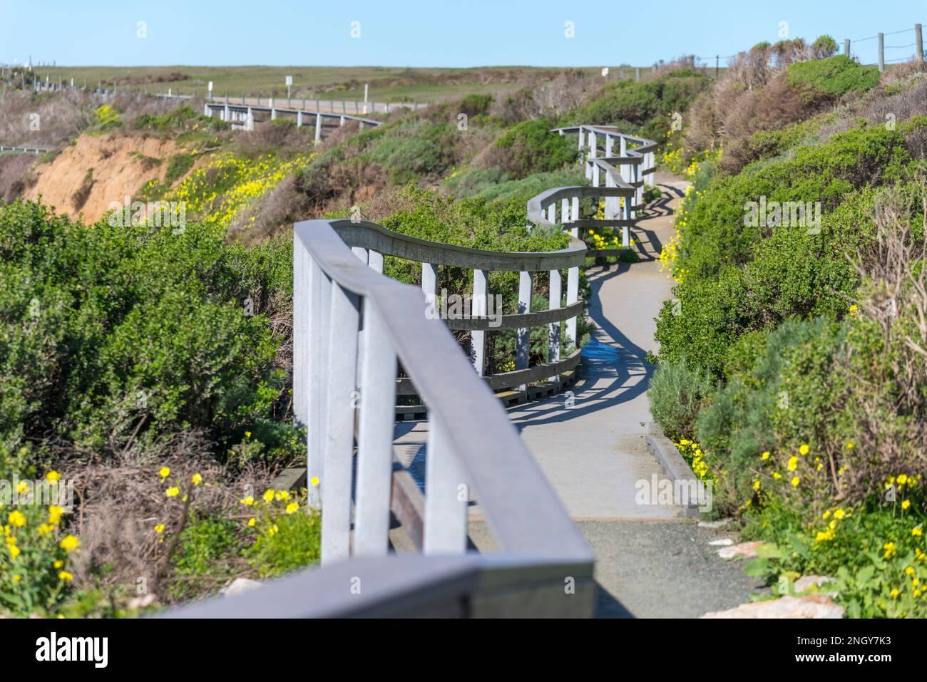 Walkway at the Piedras Blancas Elephant Seal Rookery. San Simeon ...