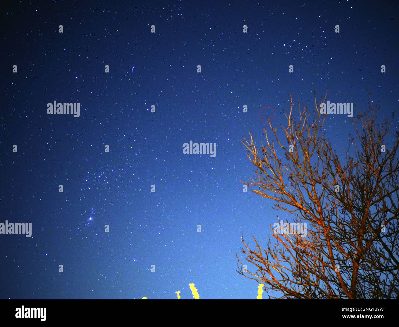 Sheerness, Kent, UK. 19th Feb, 2023. The Orion constellation appears to ...
