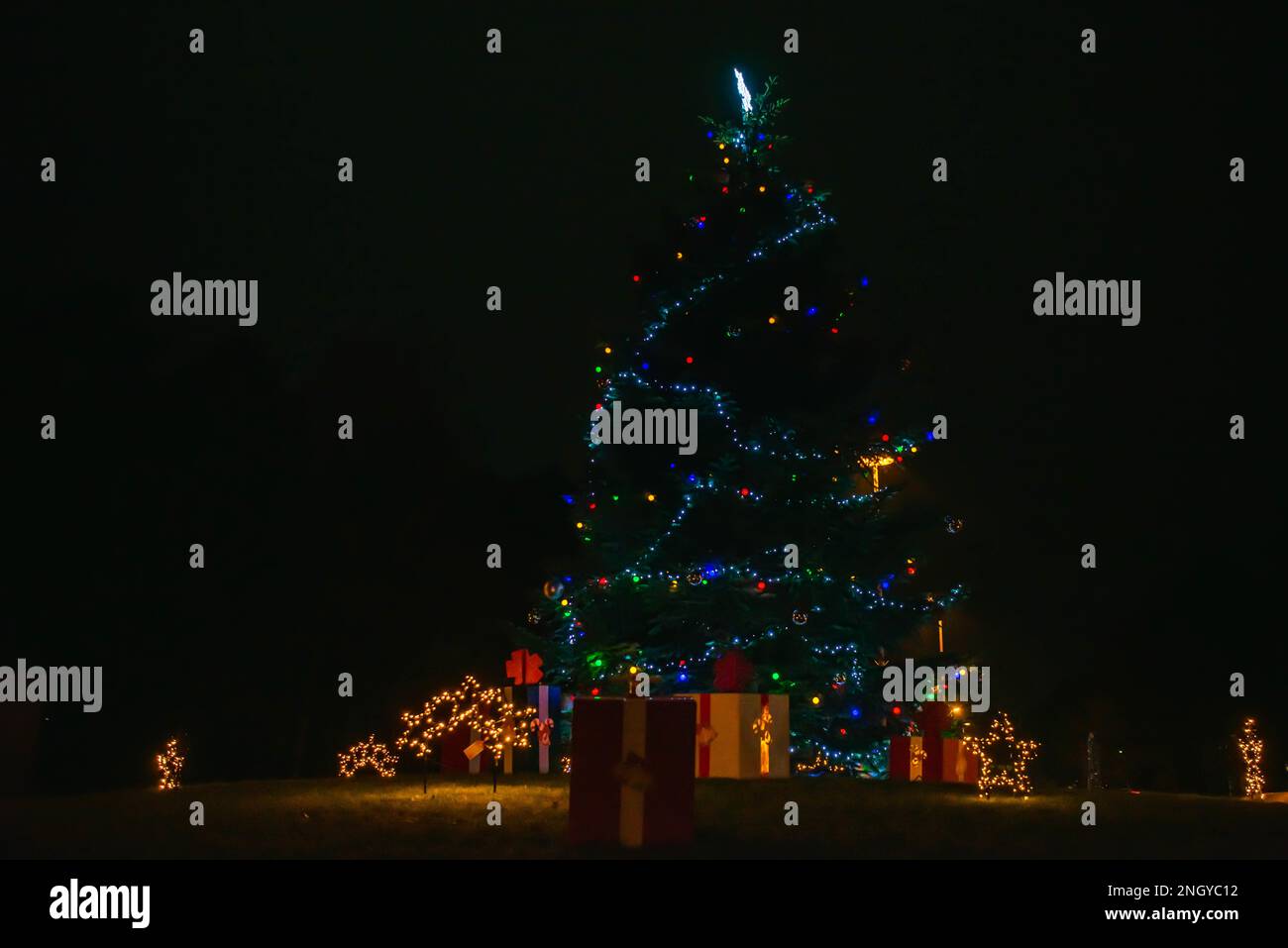 A Christmas tree stands in a roundabout after a Christmas Tree Lighting ...