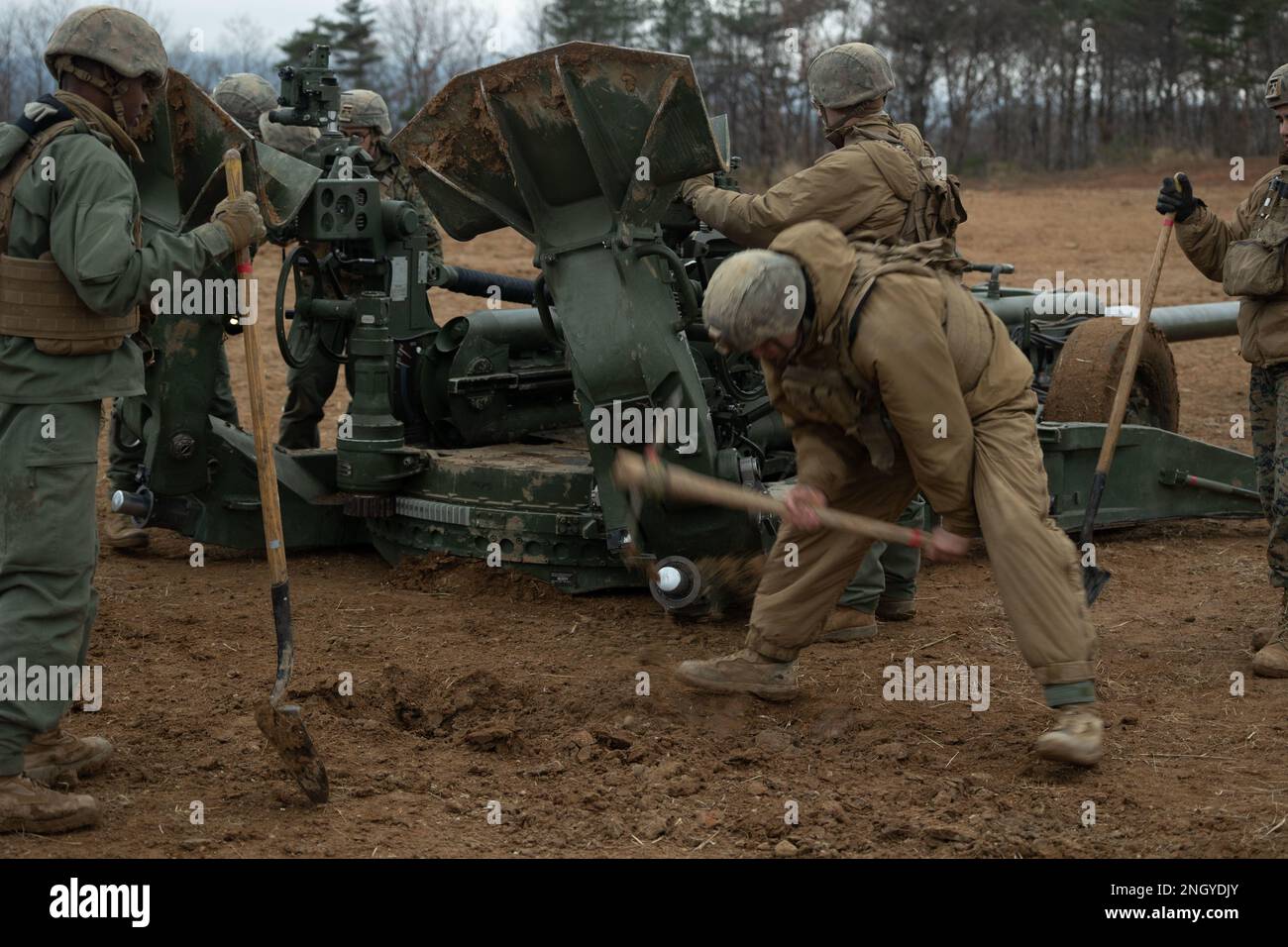 U.S. Marines with 3d Battalion, 12th Marines conduct cannon emplacement ...