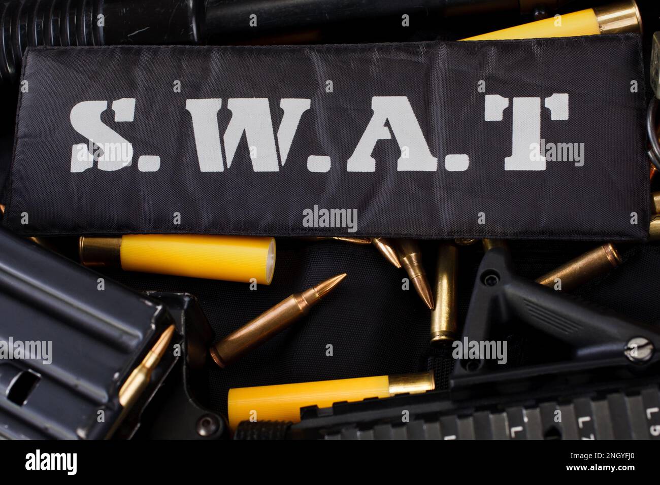 SWAT - Special weapons and tactics team weapon, ammunitions and ...