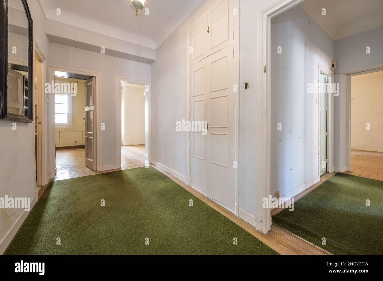 Distributor space of a house with wooden floors covered with green ...