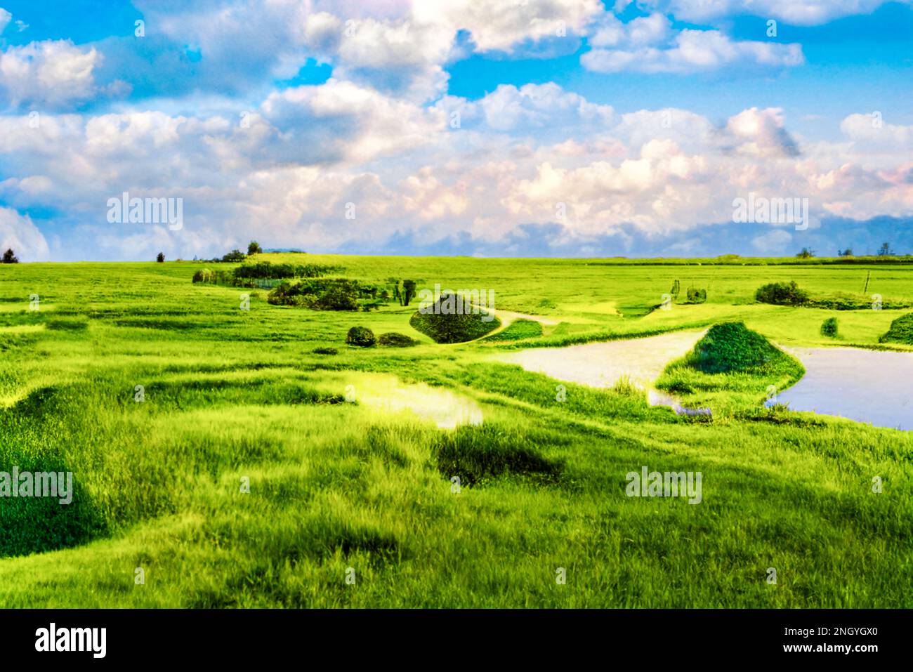 The green grassland in spring, under the blue sky and white clouds ...