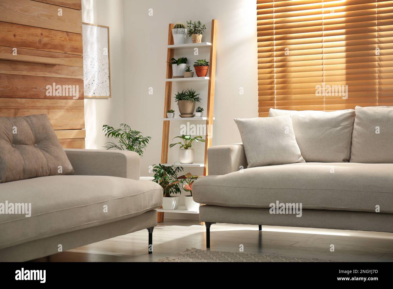 Decorative wooden ladder in stylish living room interior Stock Photo ...